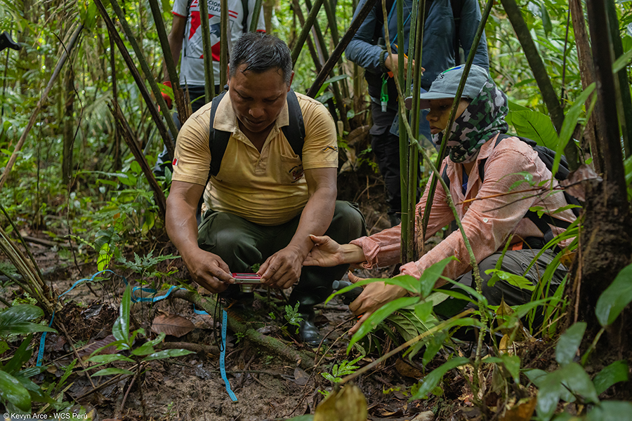 Los guardaparques, aliados de la conservación > WCS Peru